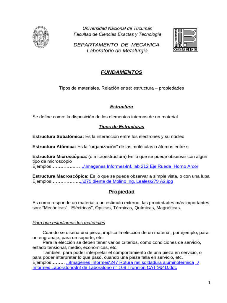 Fundamentos 1° | PDF