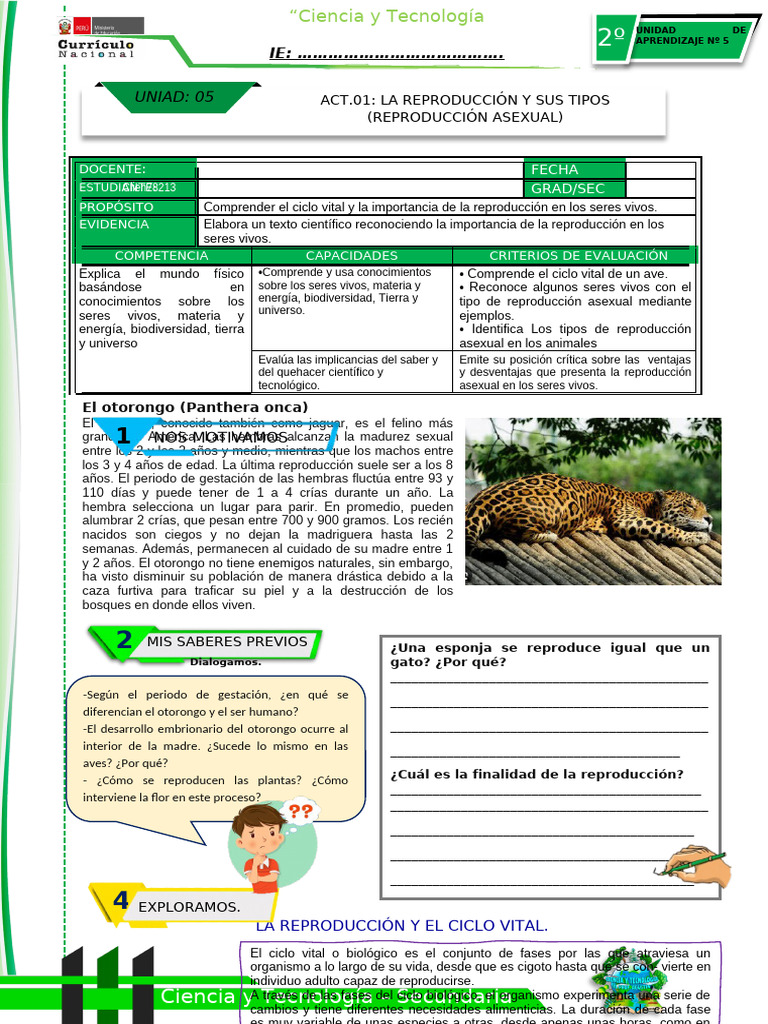 A-2º Act 1 Cyt Unid 5 - Sem 1 | PDF