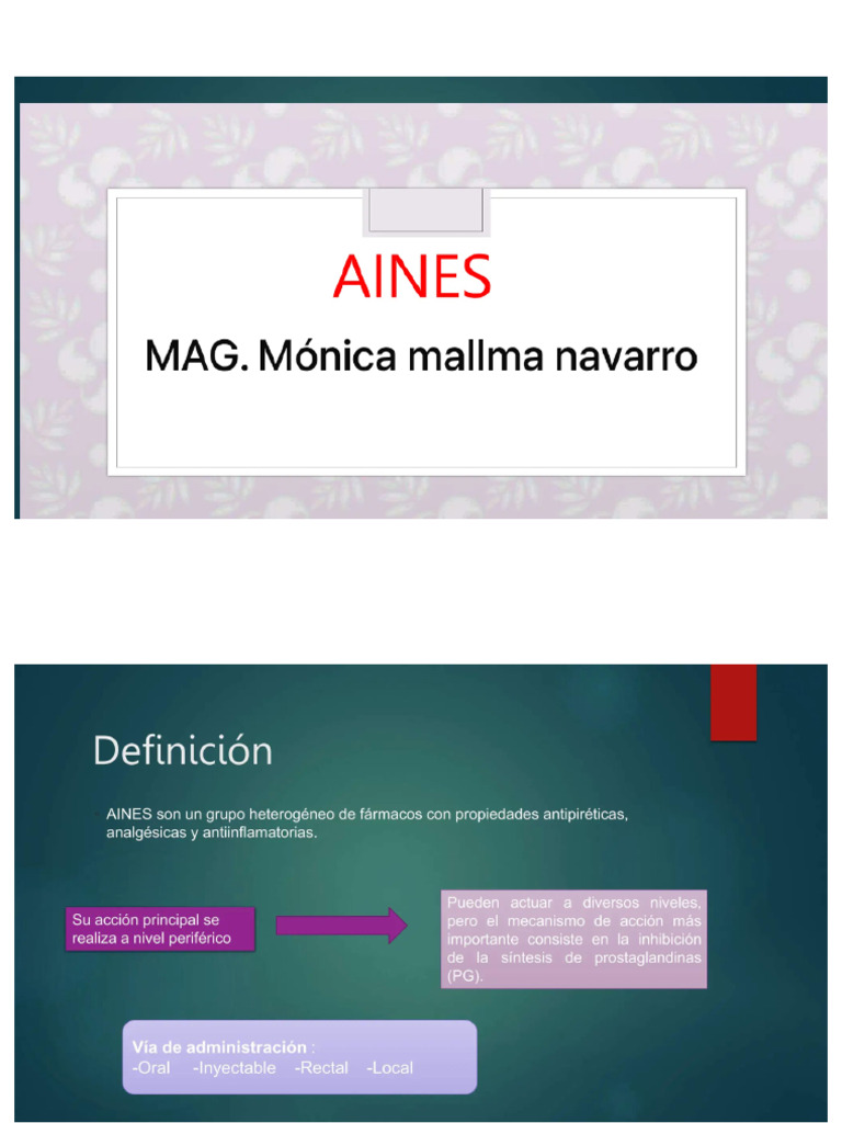 AINES | PDF
