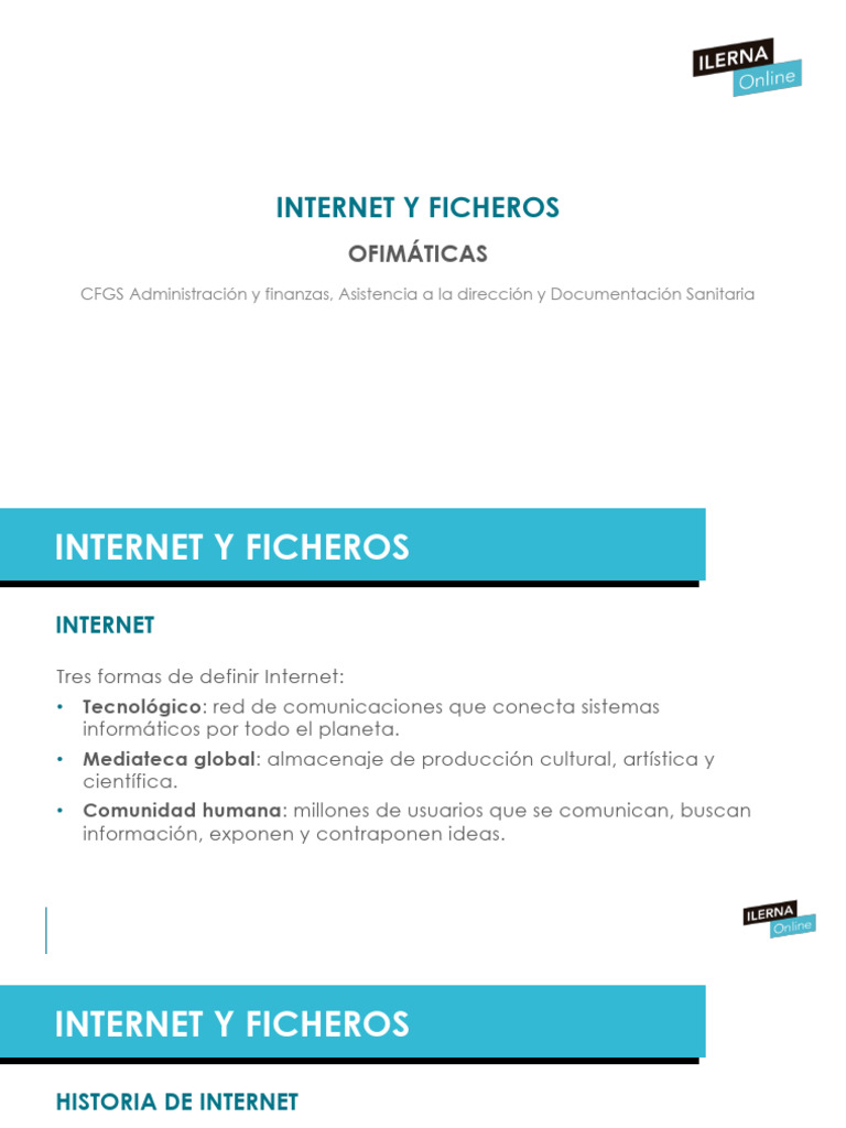 Internet y Ficheros | PDF