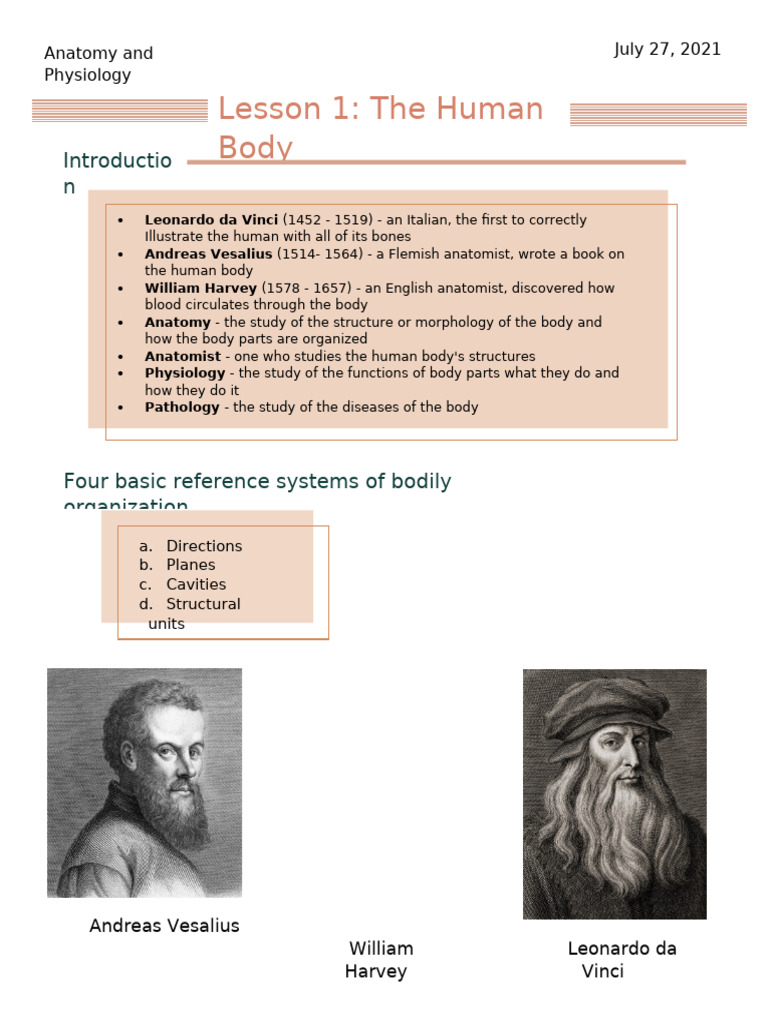 Lesson 1 Human Body | PDF