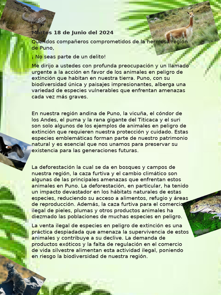 informe de animales | PDF