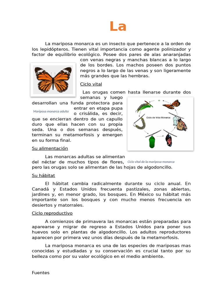 Mariposa Monarca | PDF