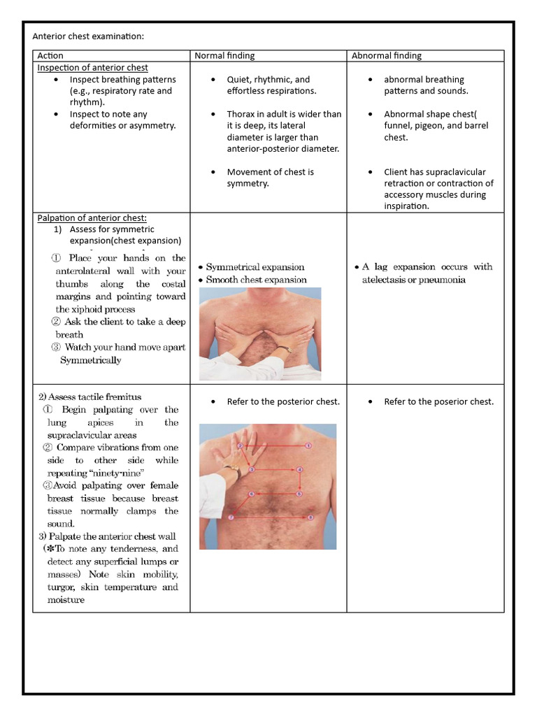 Anterior Chest Examination | PDF