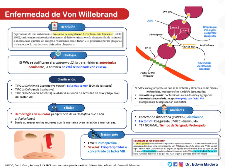 Enfermedad de Von Willebrand | PDF