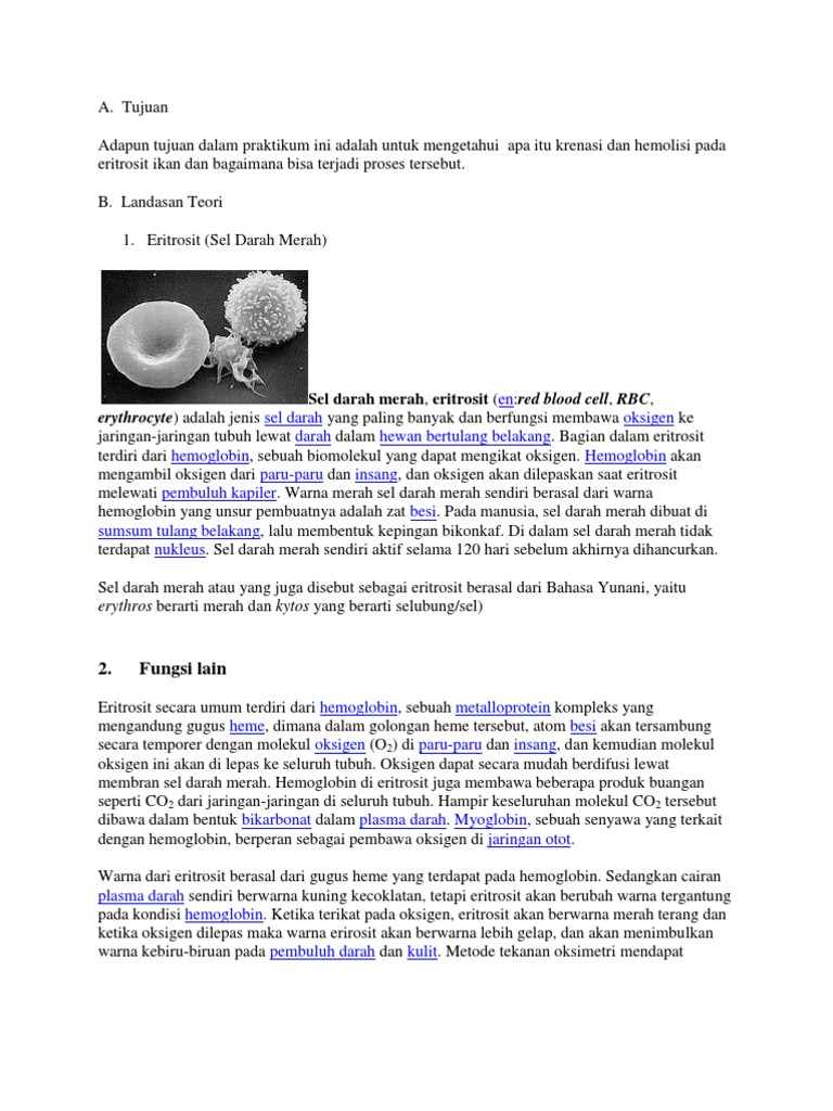Krenasi Pada Ikan | PDF
