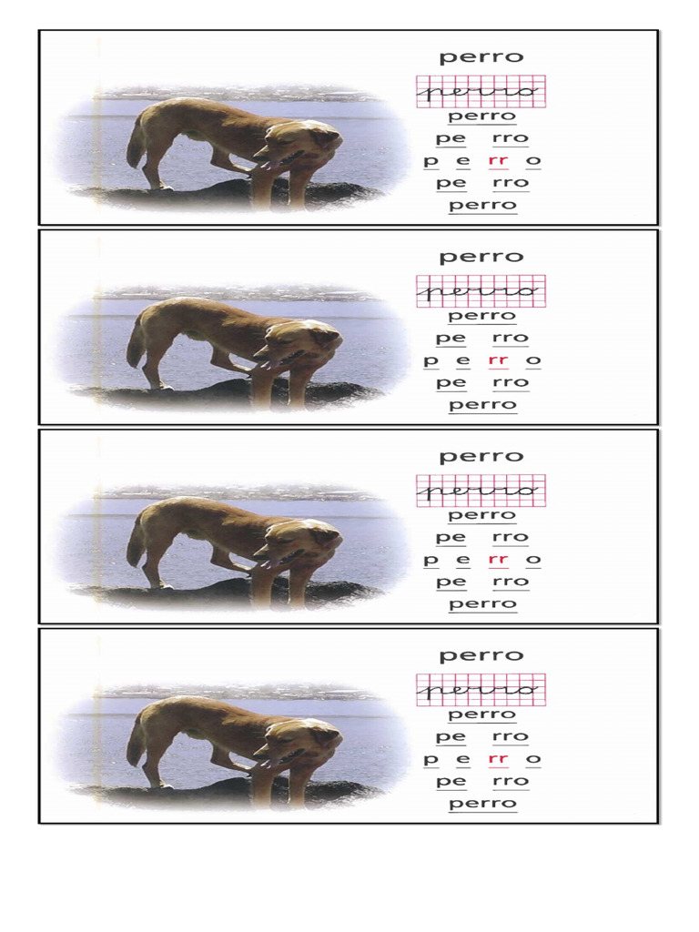 GUIAS DE LECCION PERRO | PDF