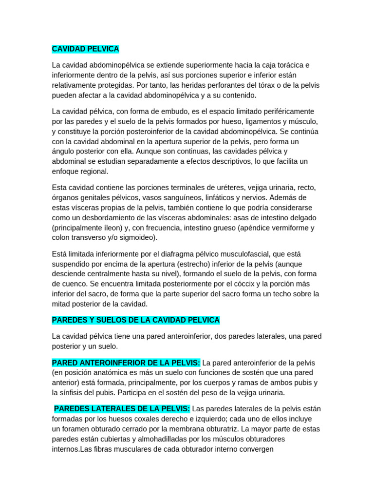 Cavidad Pelvica Musculos De Las Paredes Y Suelos Pdf