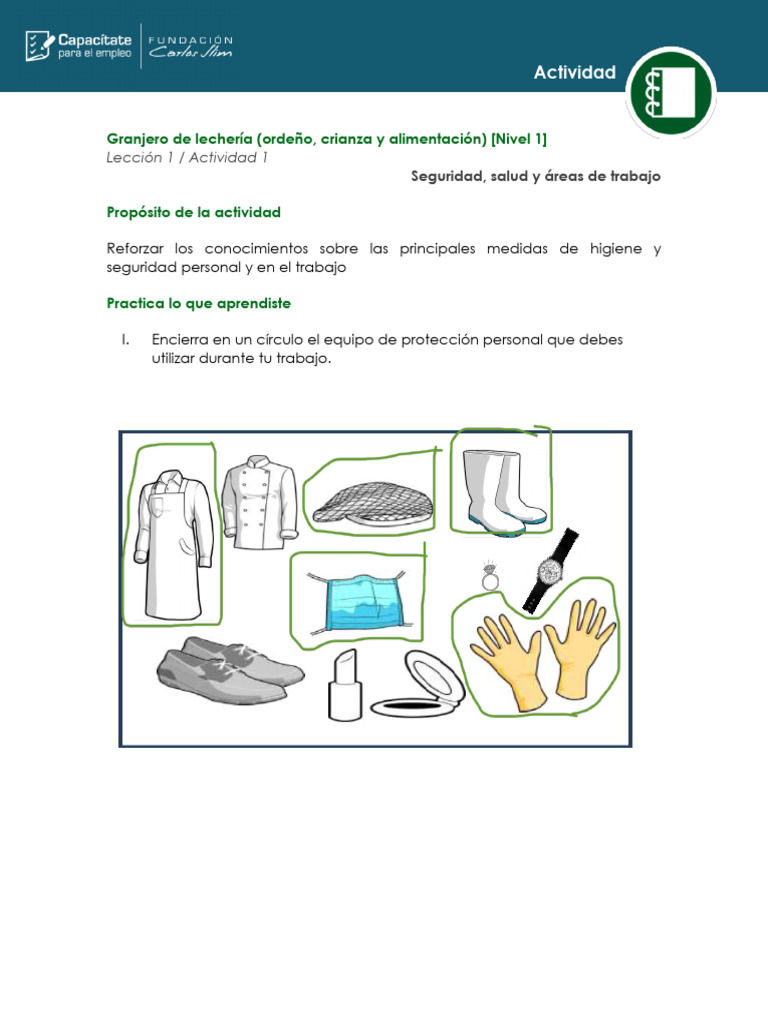 3H Martínez Campos Keiry Michell | PDF | Granjas | Vacas