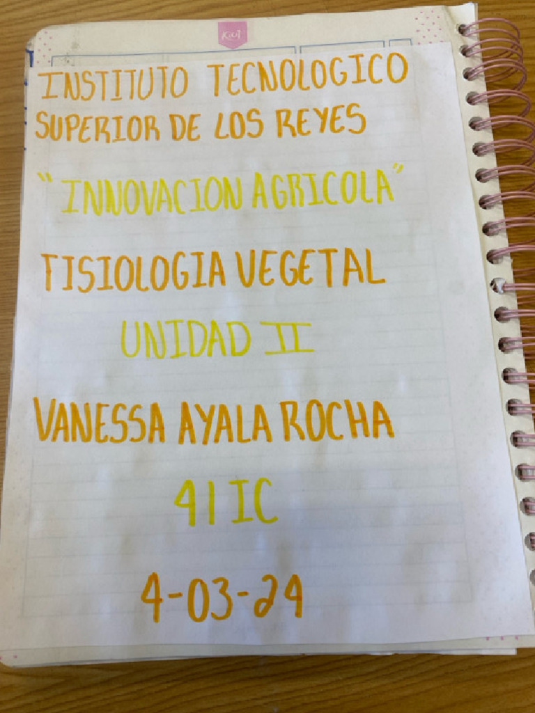 Vanessa Ayala Rocha Unidad 2 | PDF