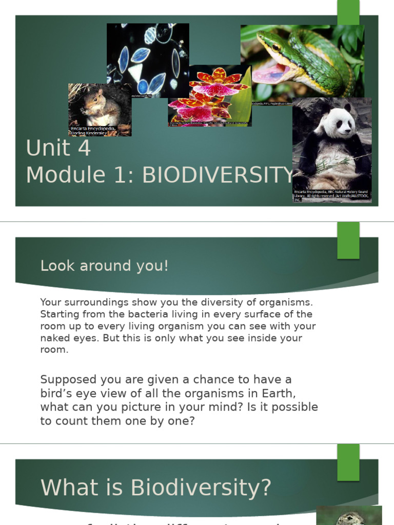 Introduction To Biodiversity | PDF