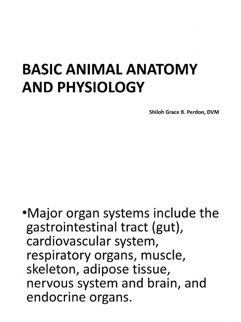 Basic Animal Anatomy and Physiology | PDF