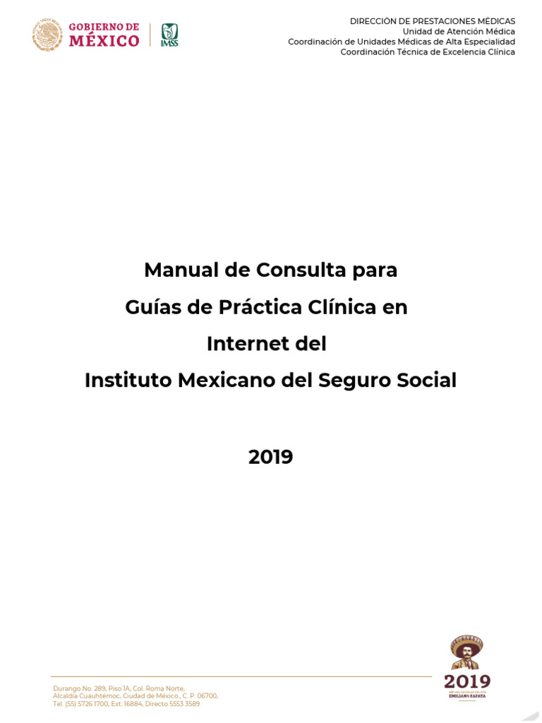 Manual Consulta Internet Imss | PDF