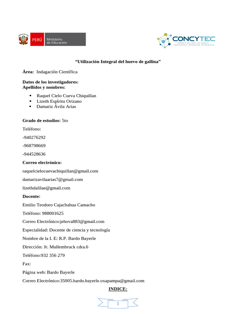 Presentacion Final Eureka 2022 | PDF