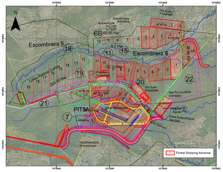 APF 13junio 2023 | PDF