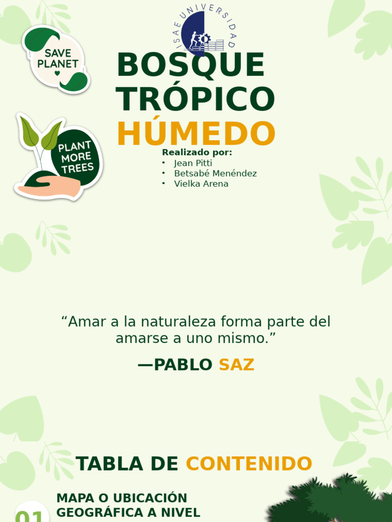Bosque Humedo Tropico | PDF