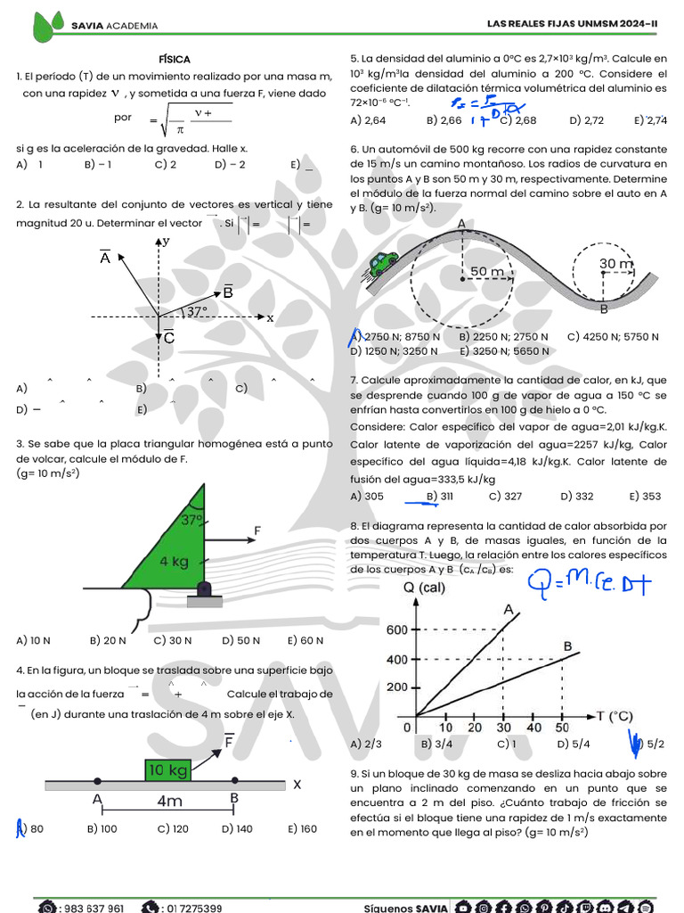 Seminario Fisica-Sin Claves | PDF