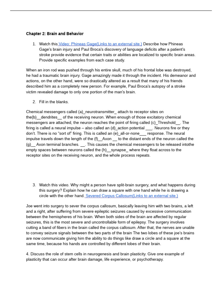 Chapter 2 Brain and Behavior ElinceGomboeb82022 | PDF