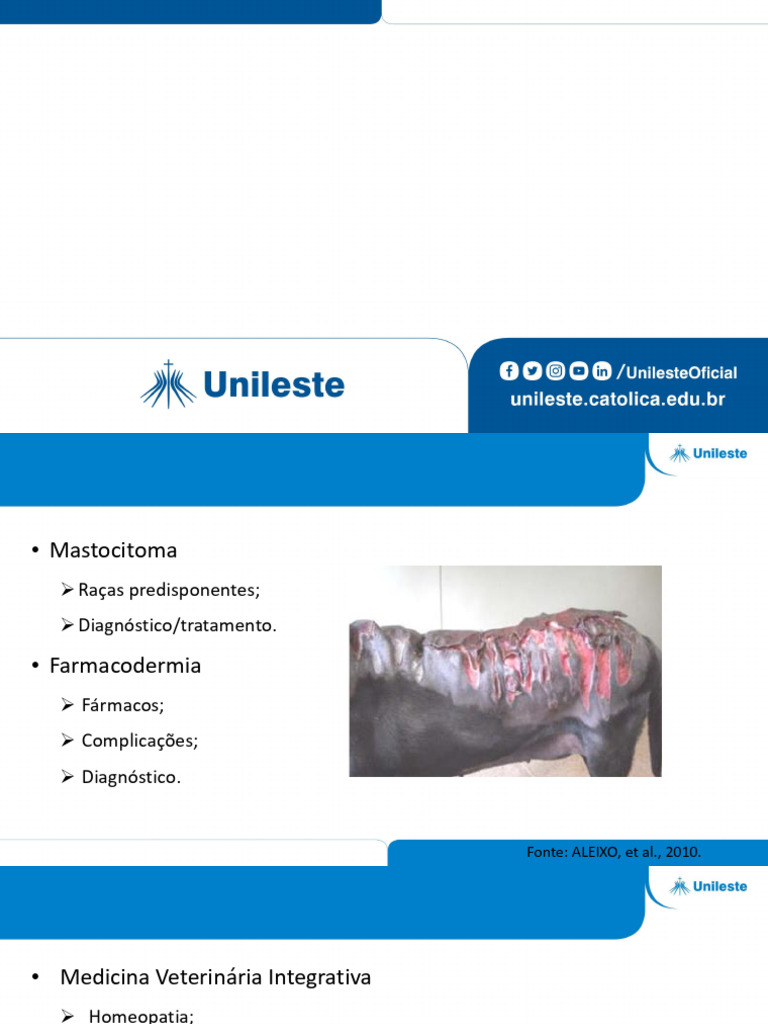 Slide TCC | PDF