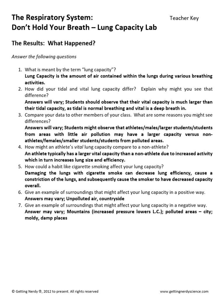 8 Respiratory System Lab KEY | PDF