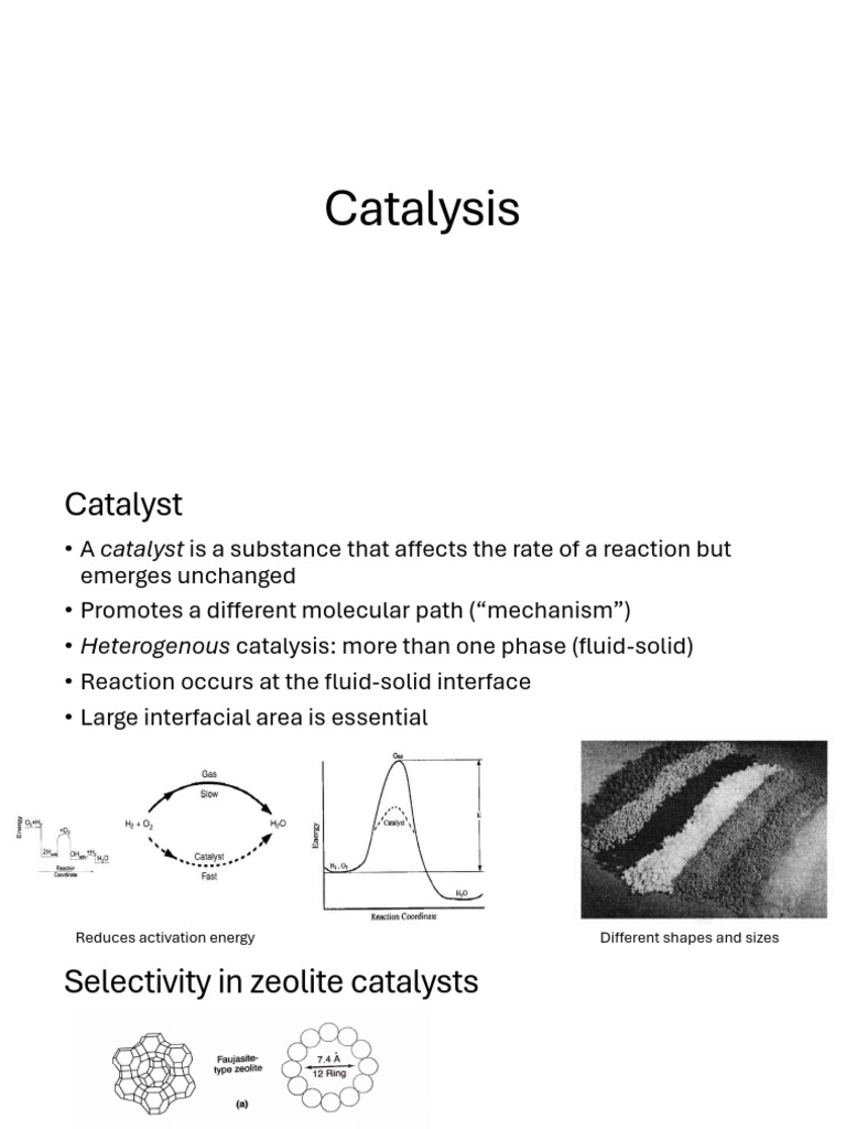 Catalysis | PDF