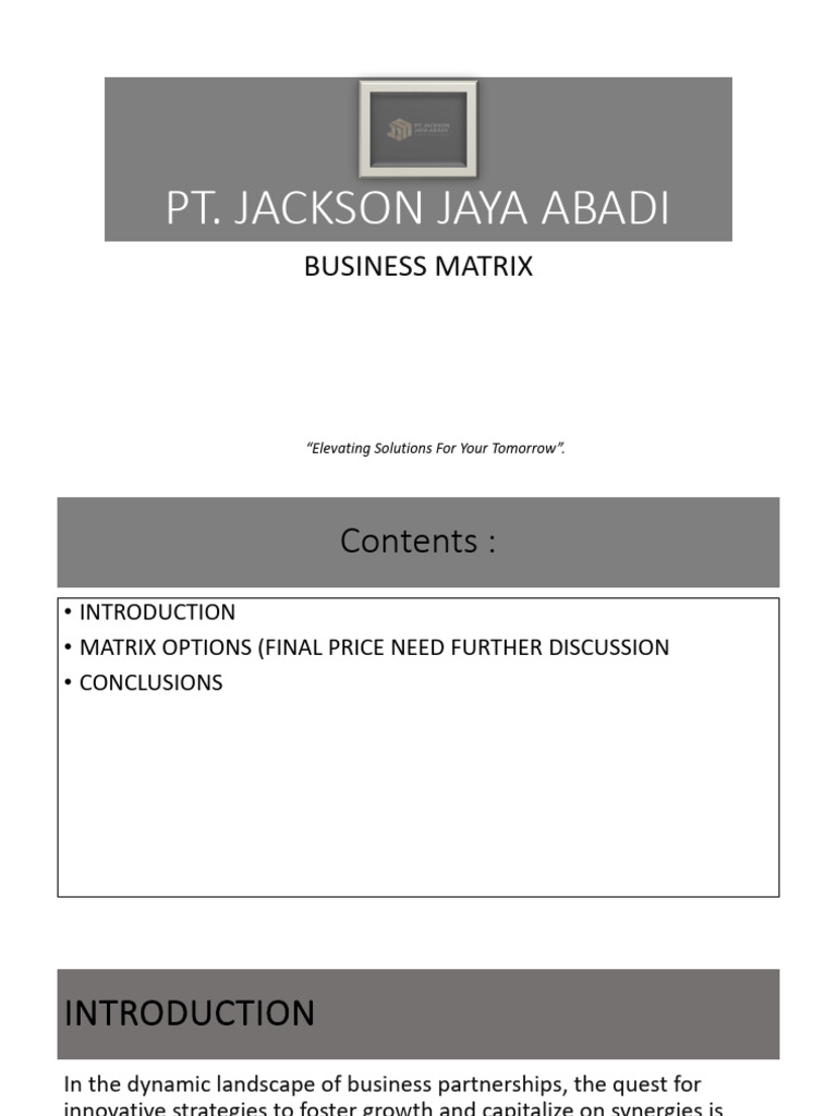 PT JACKSON JAYA ABADI BUSINESS MATRIX | PDF