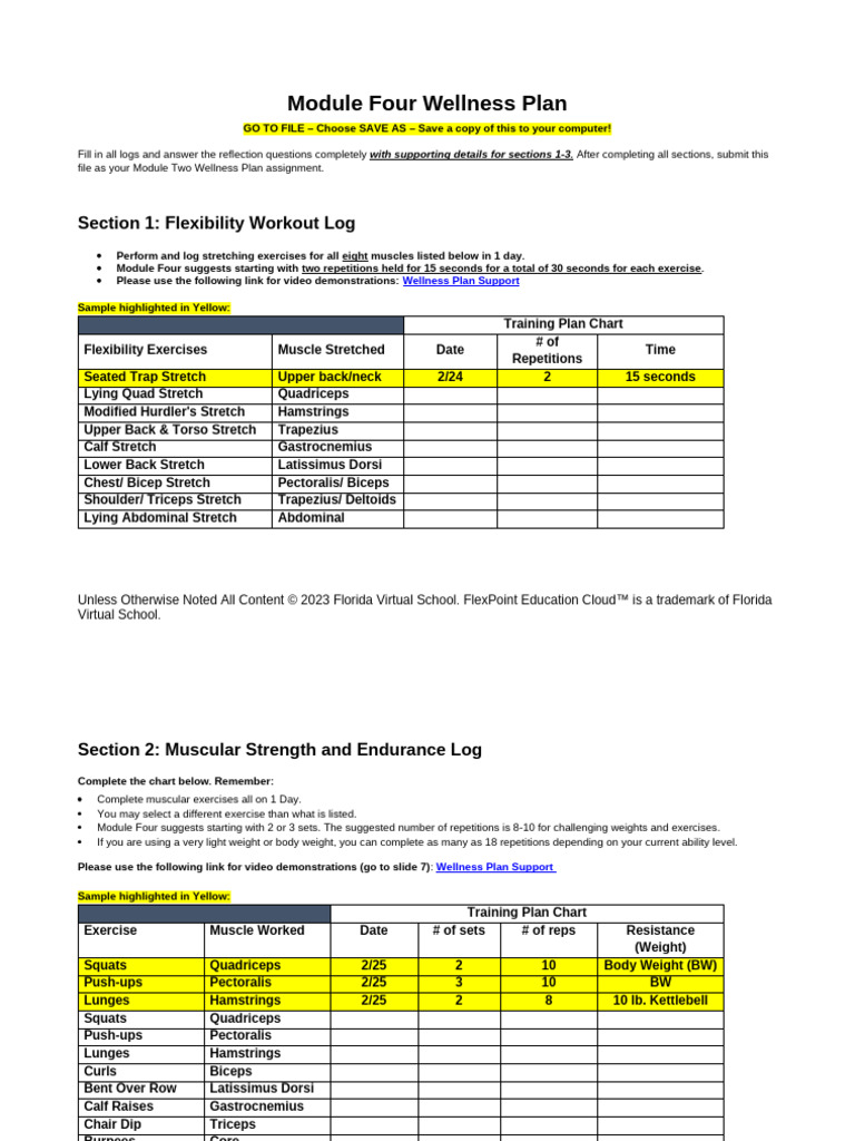 module_four_wellness_plan | PDF
