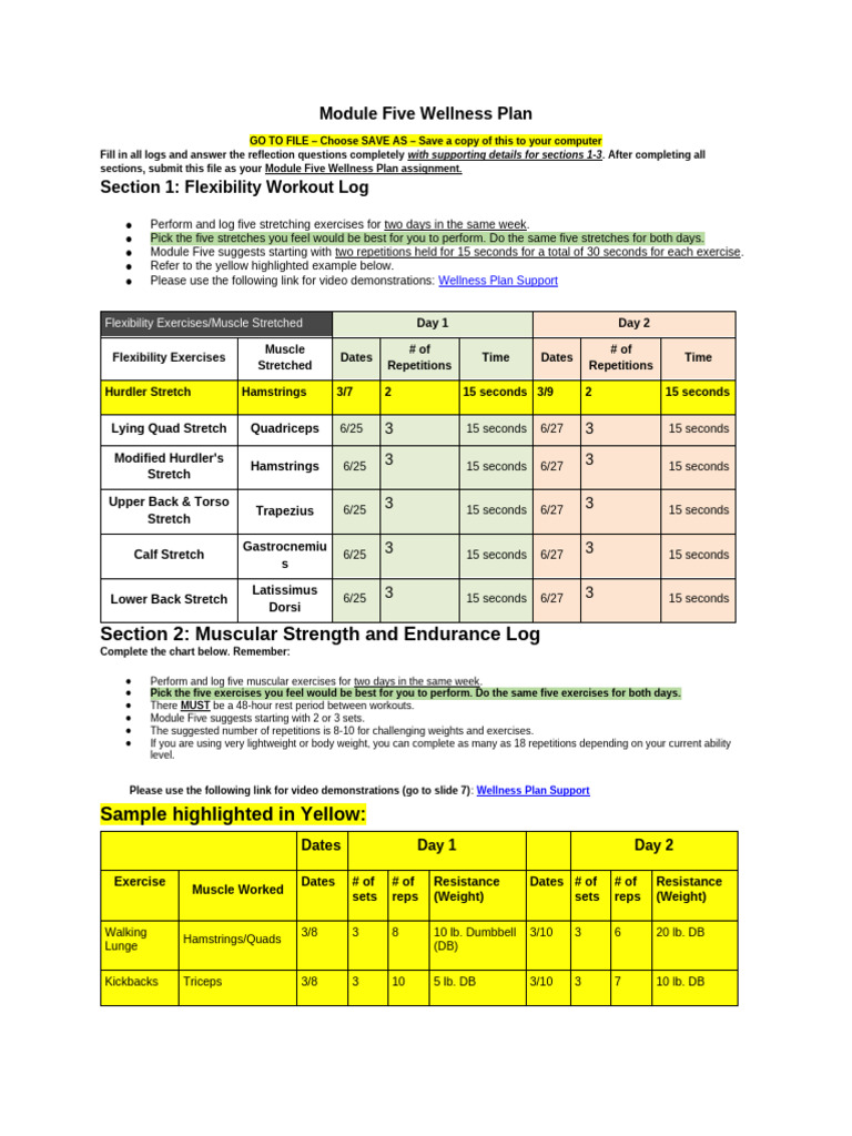 Module Five Wellness Plan | PDF