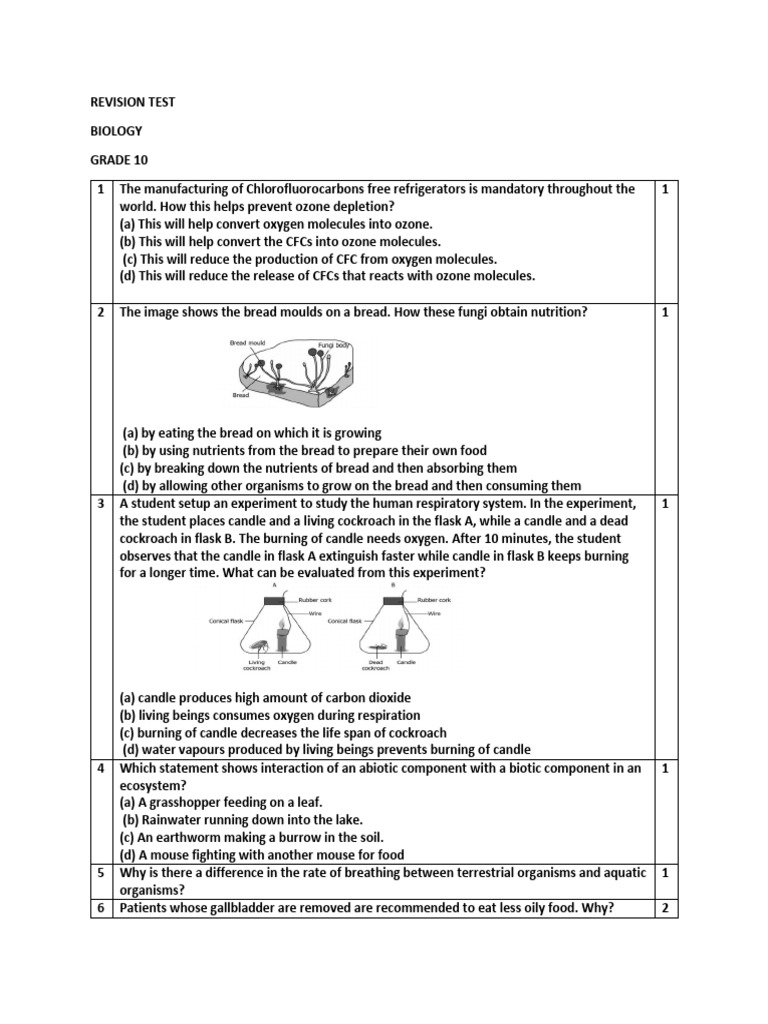 Revision Test GR 10 | PDF