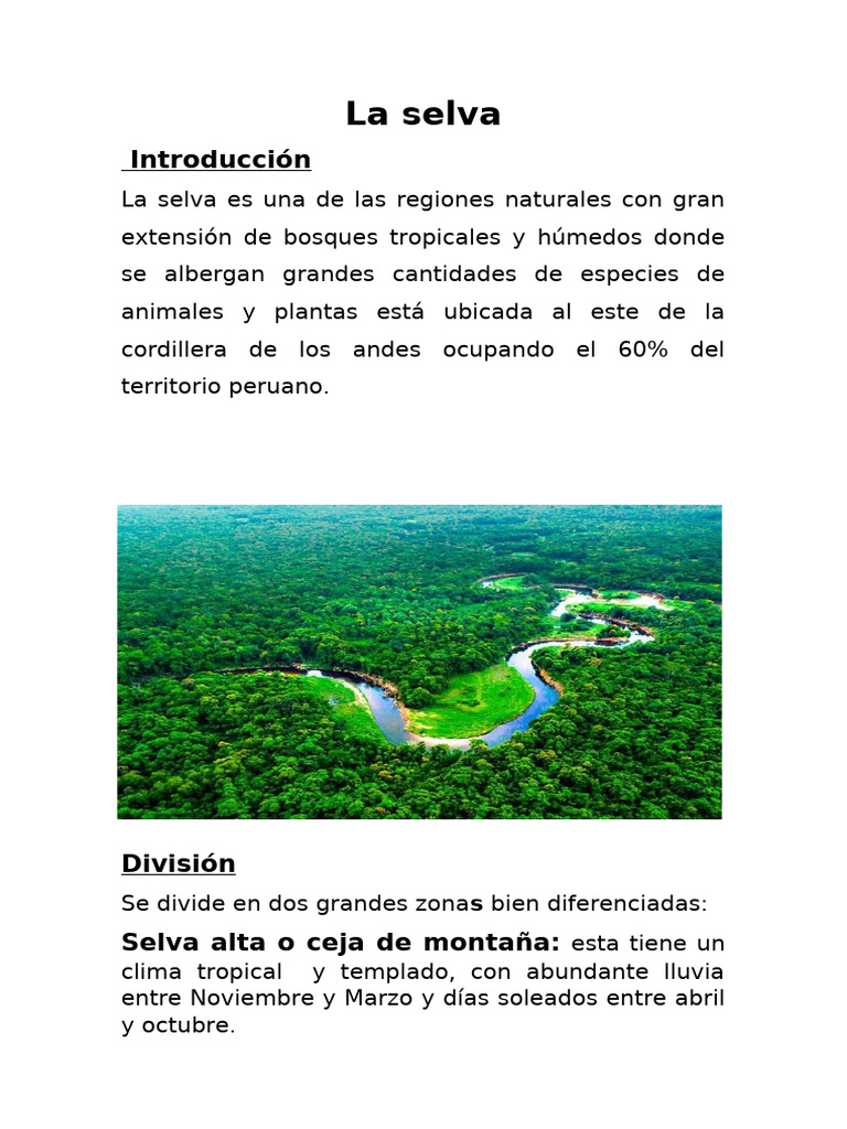 La Selva Fabi | PDF