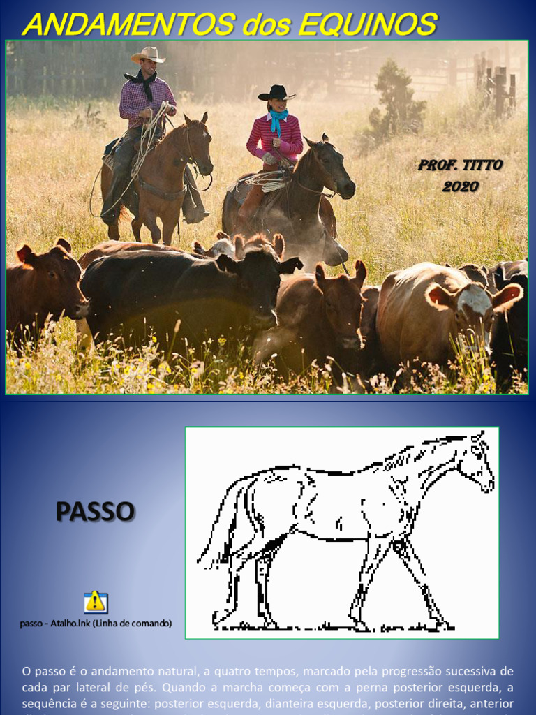 Andamentos Equinos | PDF