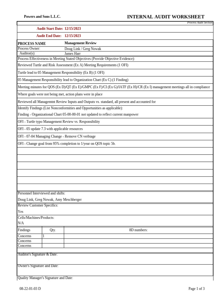 08-22-01-03 D - Internal Audit Worksheet | PDF