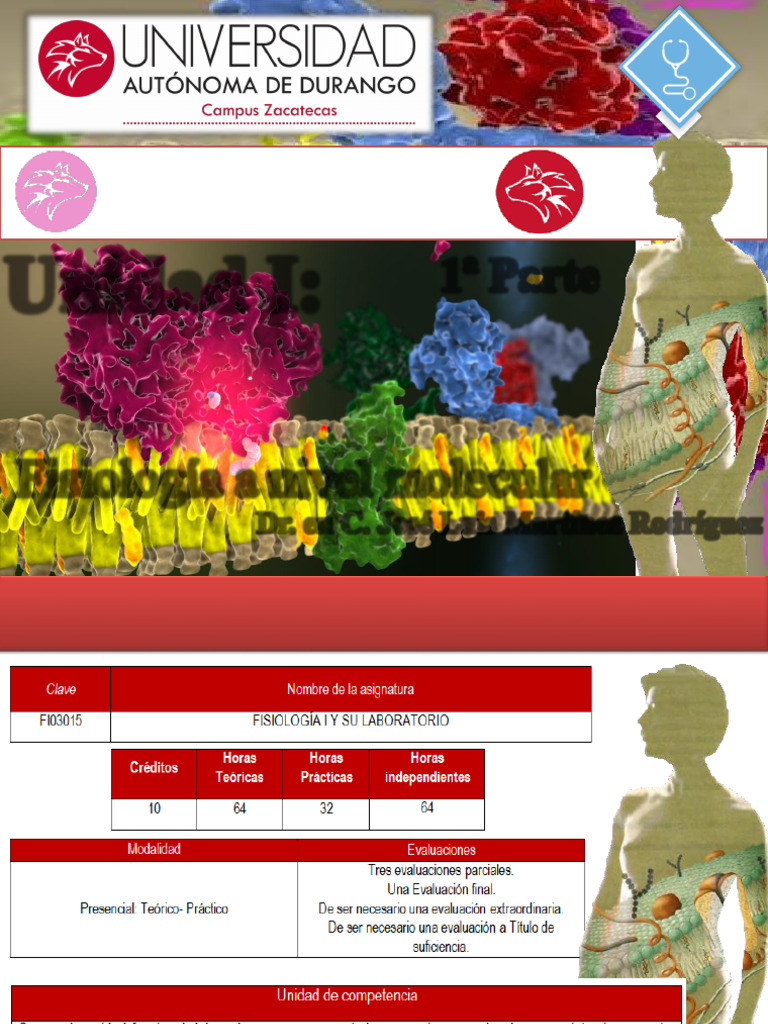 Homeostasis y Funciön Celular | PDF