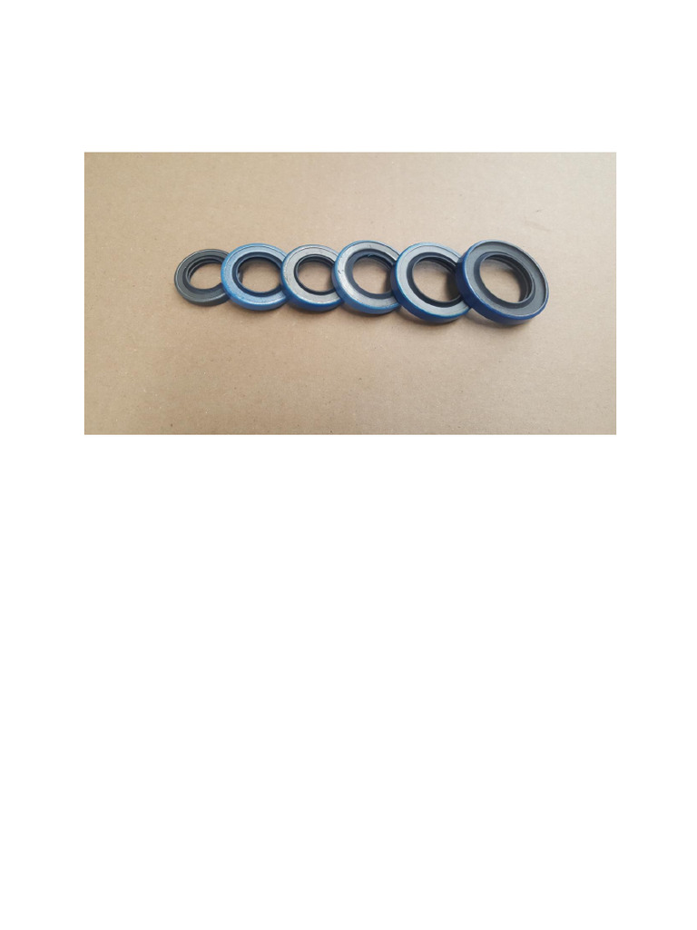 Shaft Seals | PDF