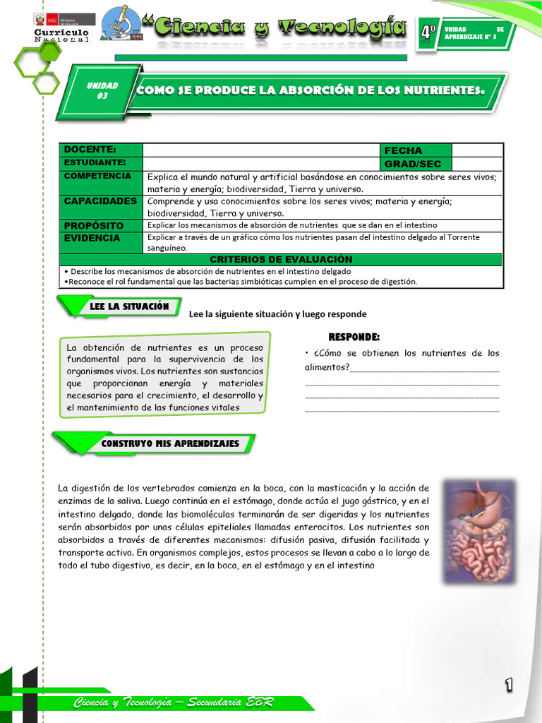 B-4º Act 3-Cyt-Und 3 - Sem 2 | PDF