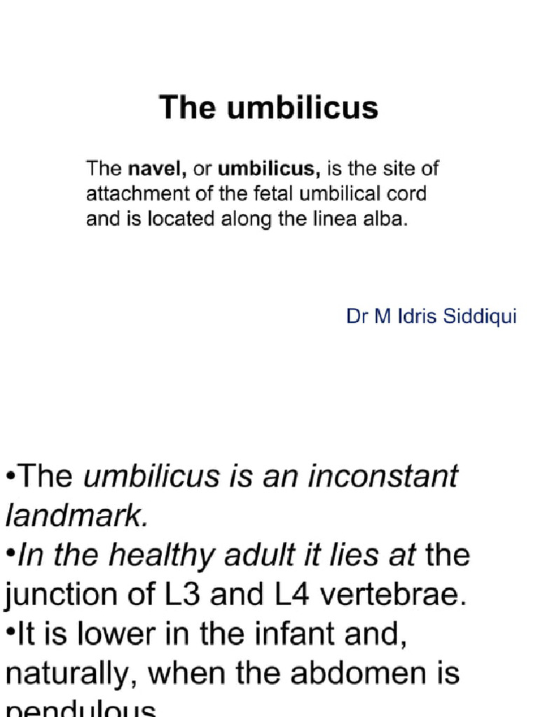 The Umbilicus 155726332 | PDF