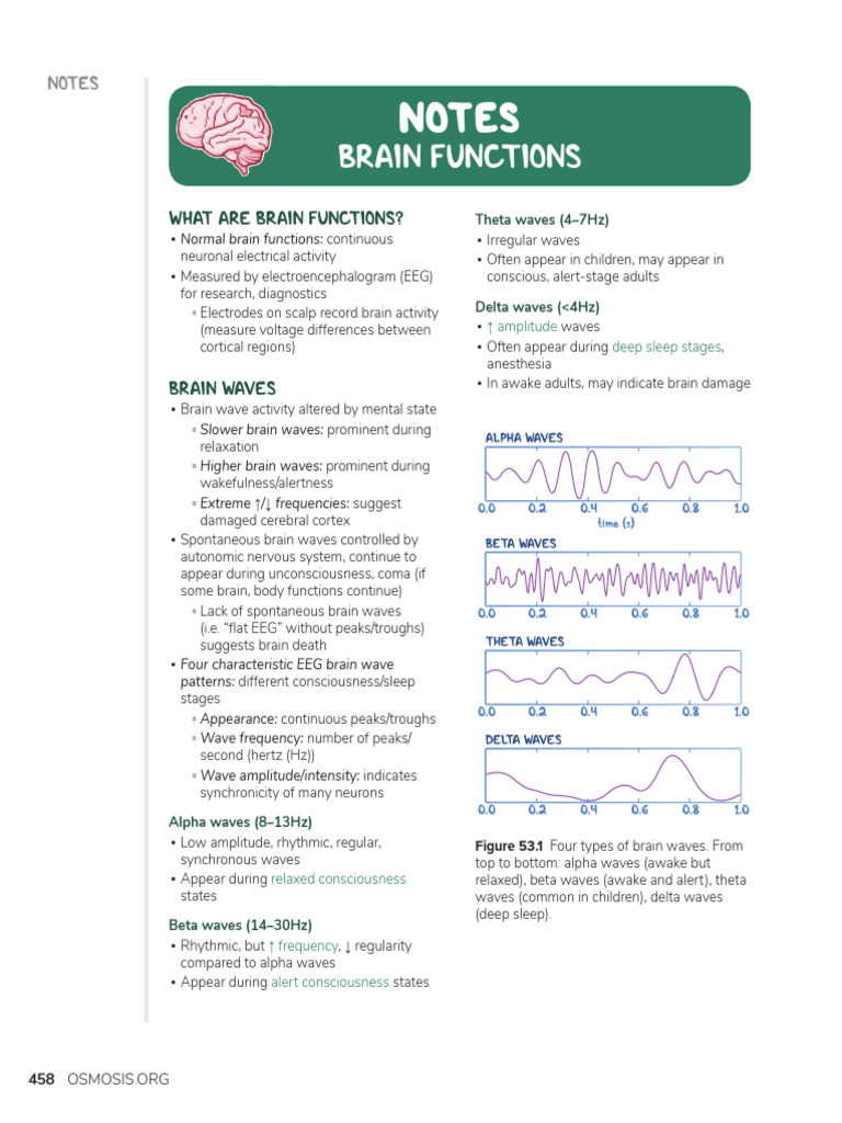 Brain Functions | PDF