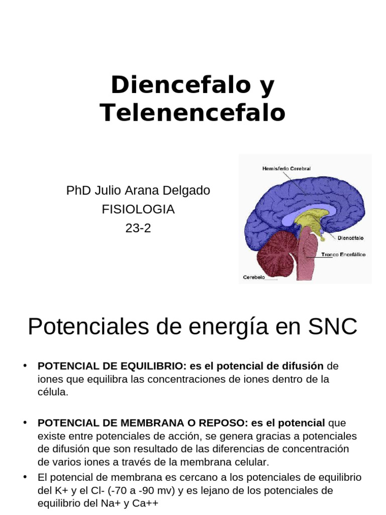 Clase 07 Fisiologia | PDF