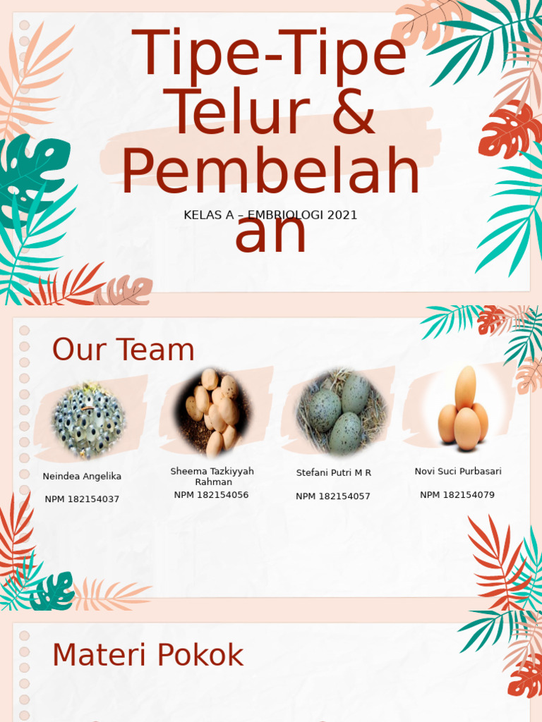 3A - Embriologi - Tipe Telur Dan Pembelahan - Kel3 | PDF | Sains ...
