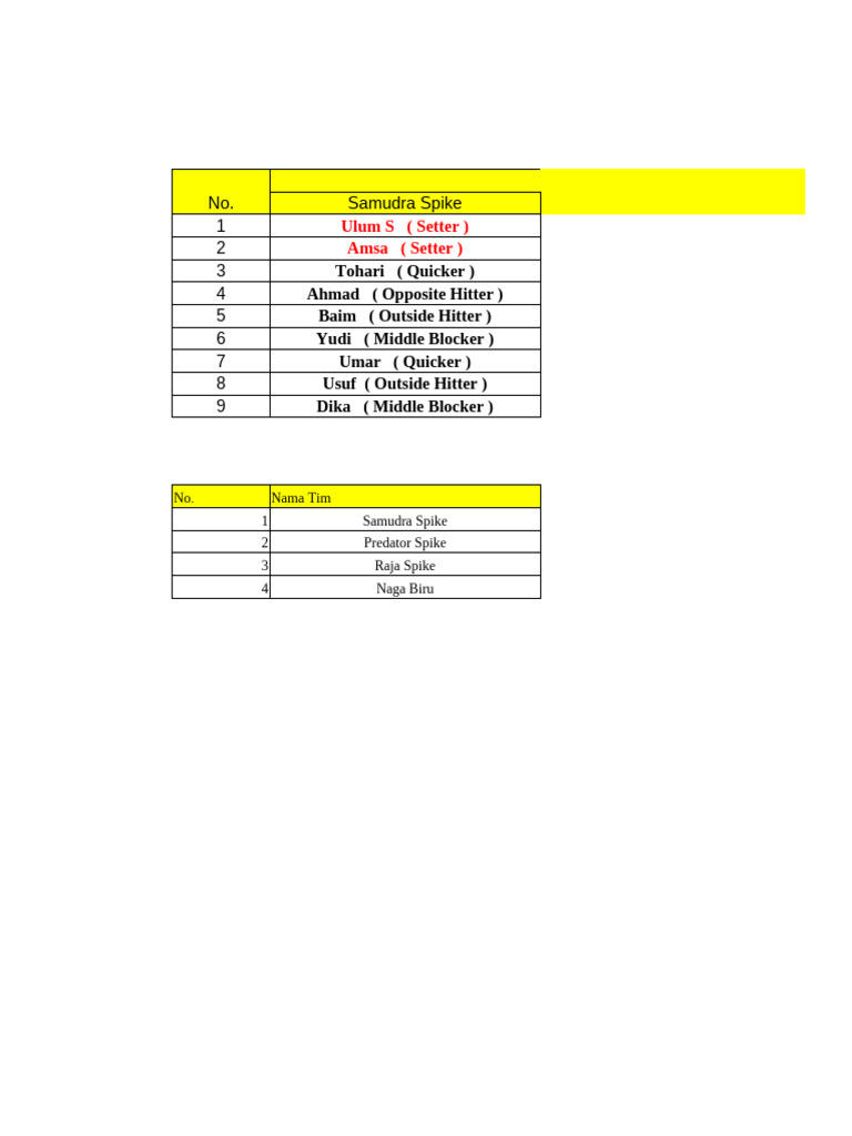 Bagan KKN UGM Voli Tournament Desa Parang | PDF