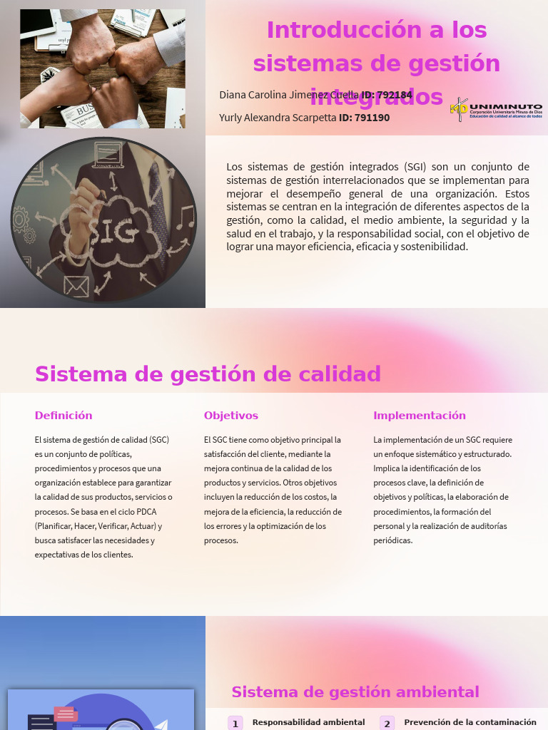 Introduccion A Los Sistemas de Gestion Integrados | PDF | Sustentabilidad | Negocios