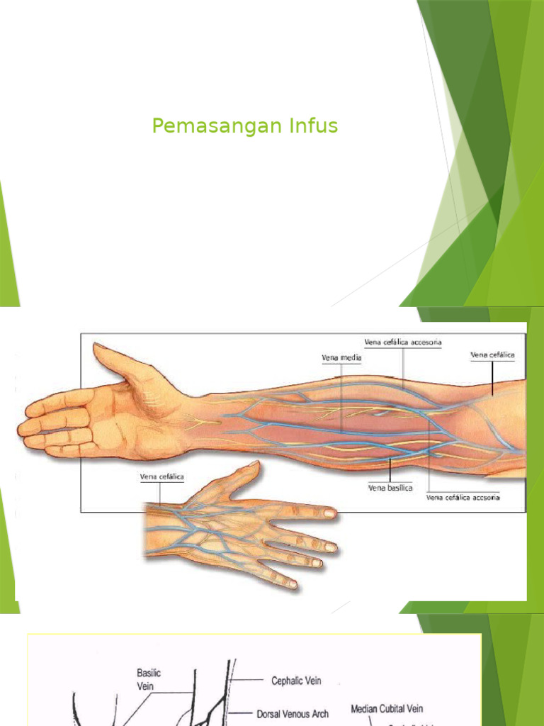 Presentasi P3K | PDF