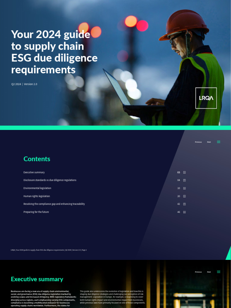 ESG - Due - Diligence - Requirements Guide | PDF