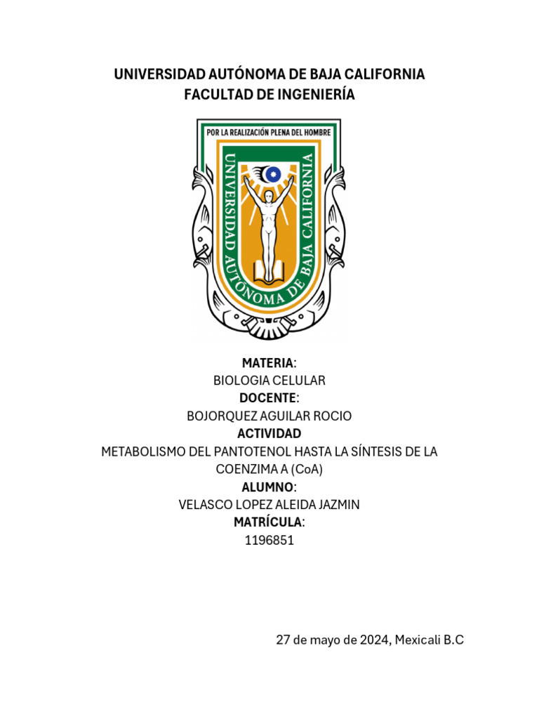 Rutas Metabolicas Pantothenol | PDF