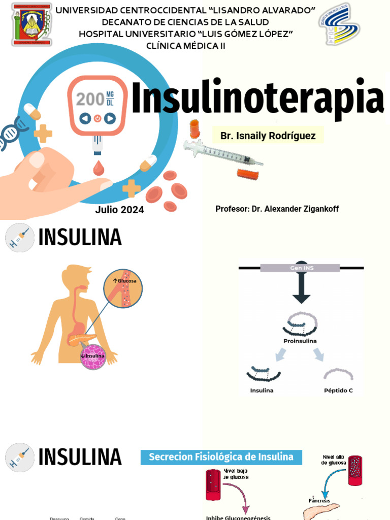 Insulinoterapia Isnaily 2024 | PDF