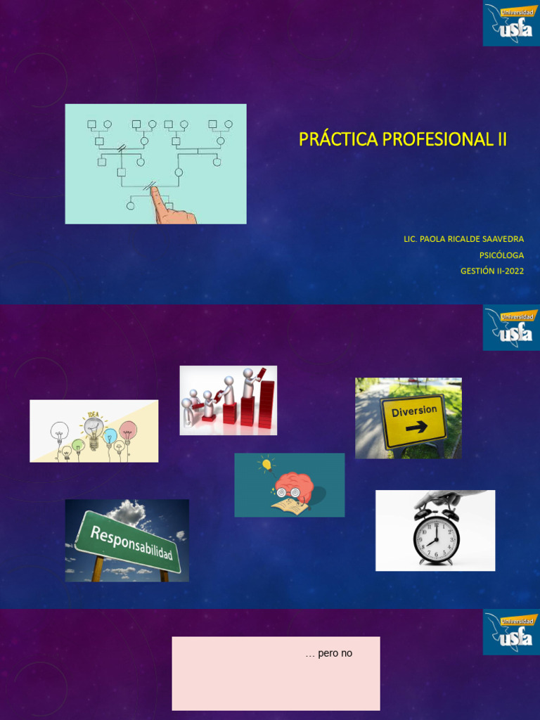 Práctica Profesional Primer Parcial | PDF