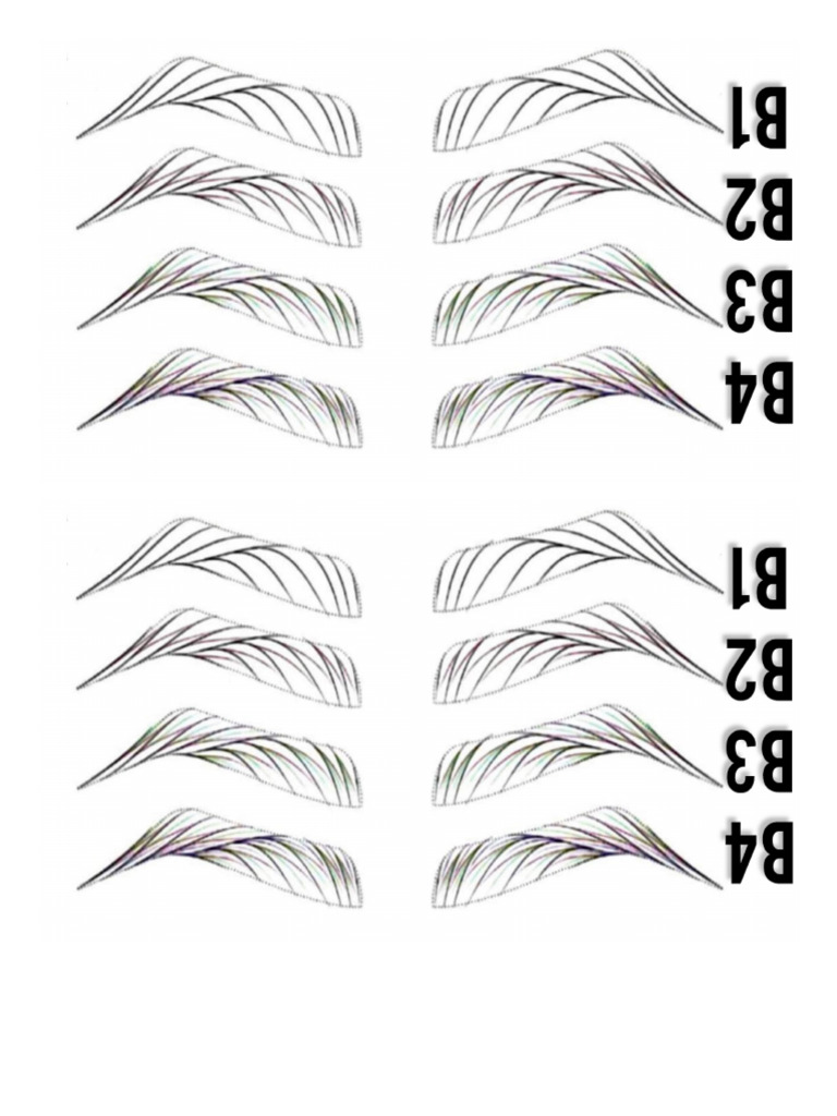 Práctica Micro | PDF