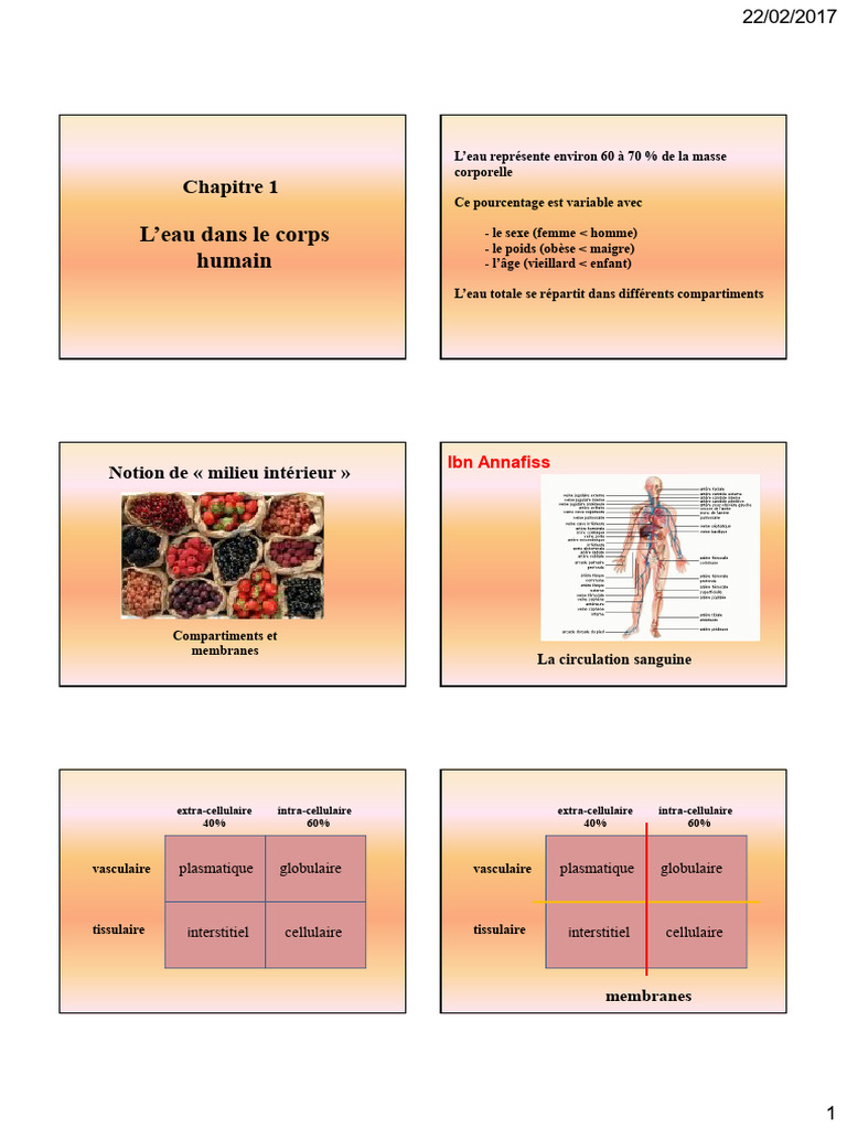 Biophysique Des Solutions | PDF