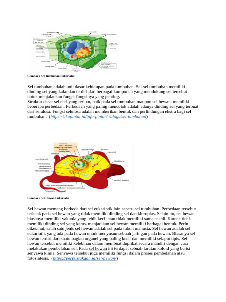 Biologi Sel Alya | PDF