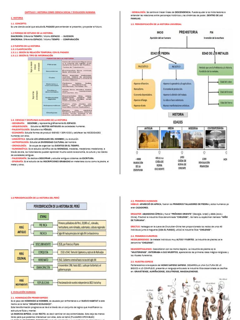 TEMA 1 Y 2 HISTORIA | PDF